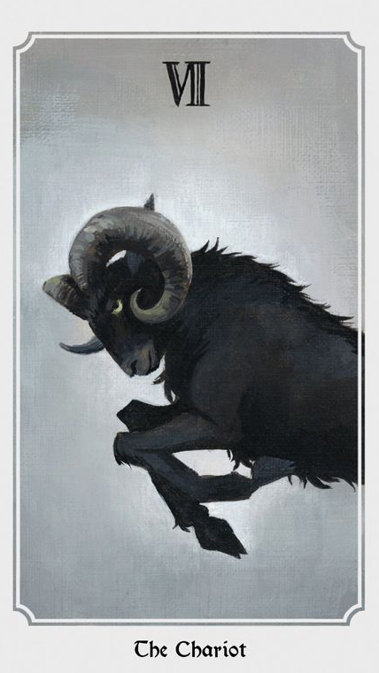 7 THE CHARIOT - Major Arcana Tarot - Witch Zoe